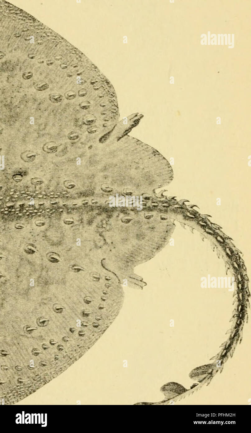 Roddel hi-res stock photography and images - Alamy