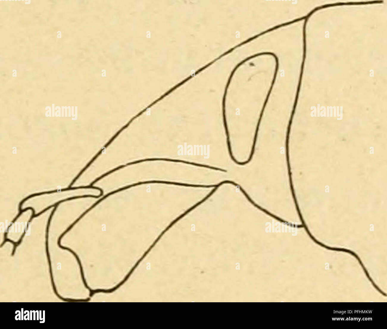 Cleo de 5 hi-res stock photography and images - Alamy