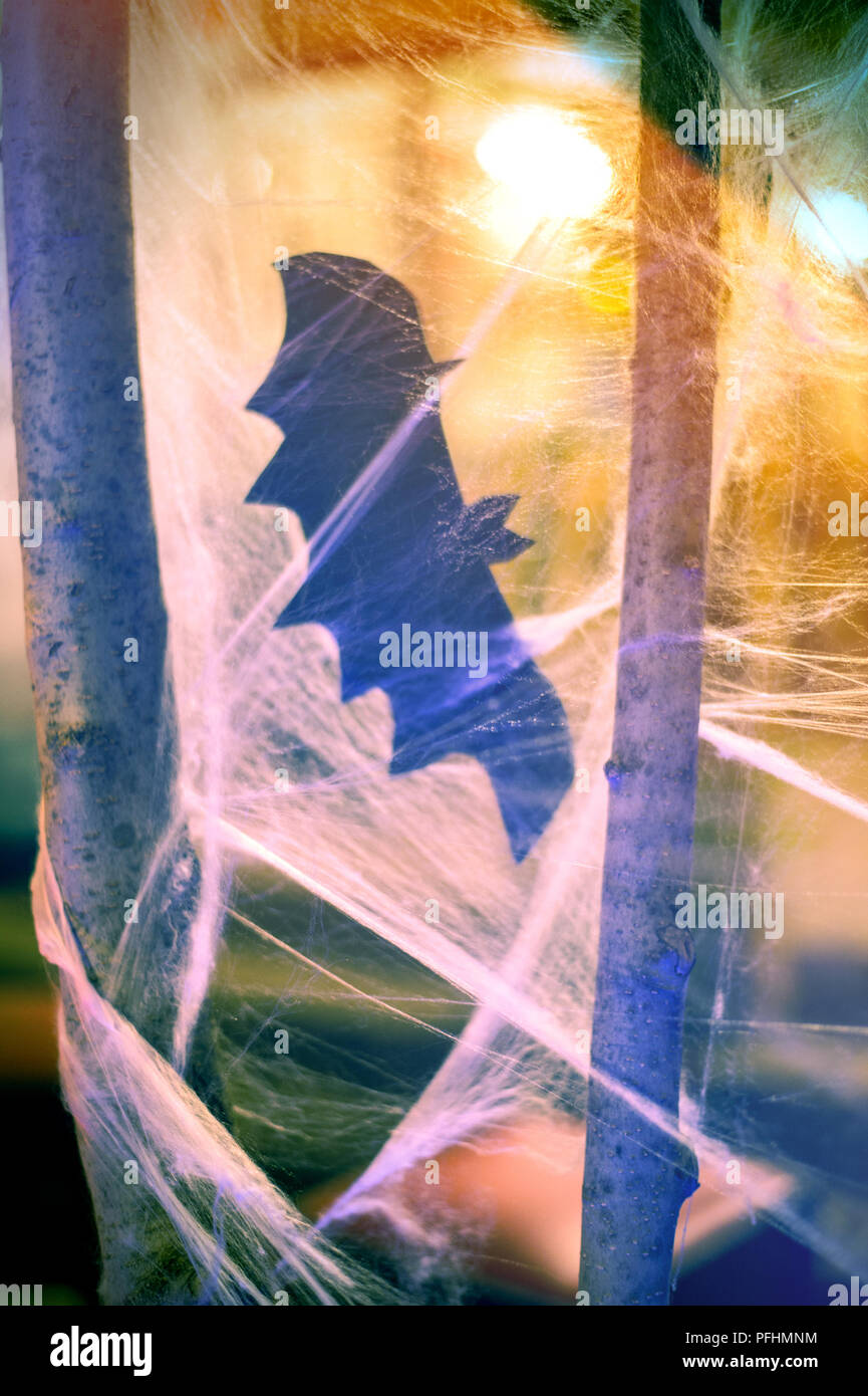 The concept of Halloween. Children's party decoration Bat in a spider ...