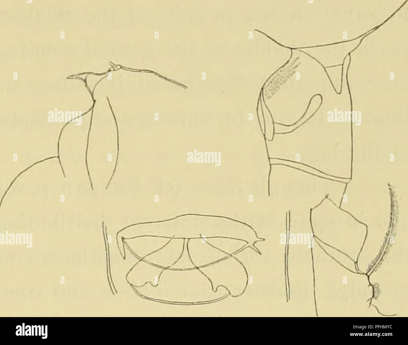 Scv hi-res stock photography and images - Alamy