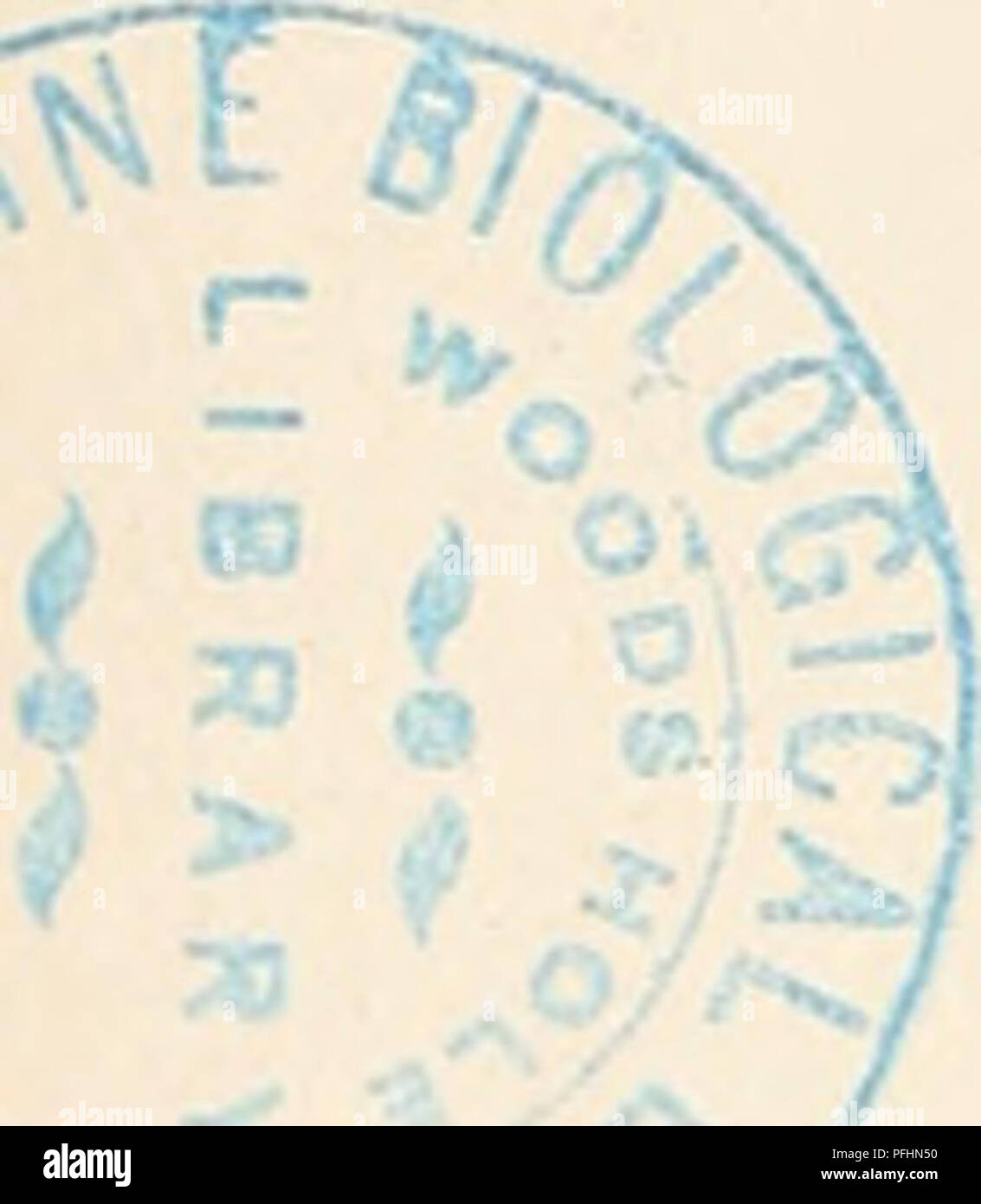 100 fathoms hi-res stock photography and images - Alamy