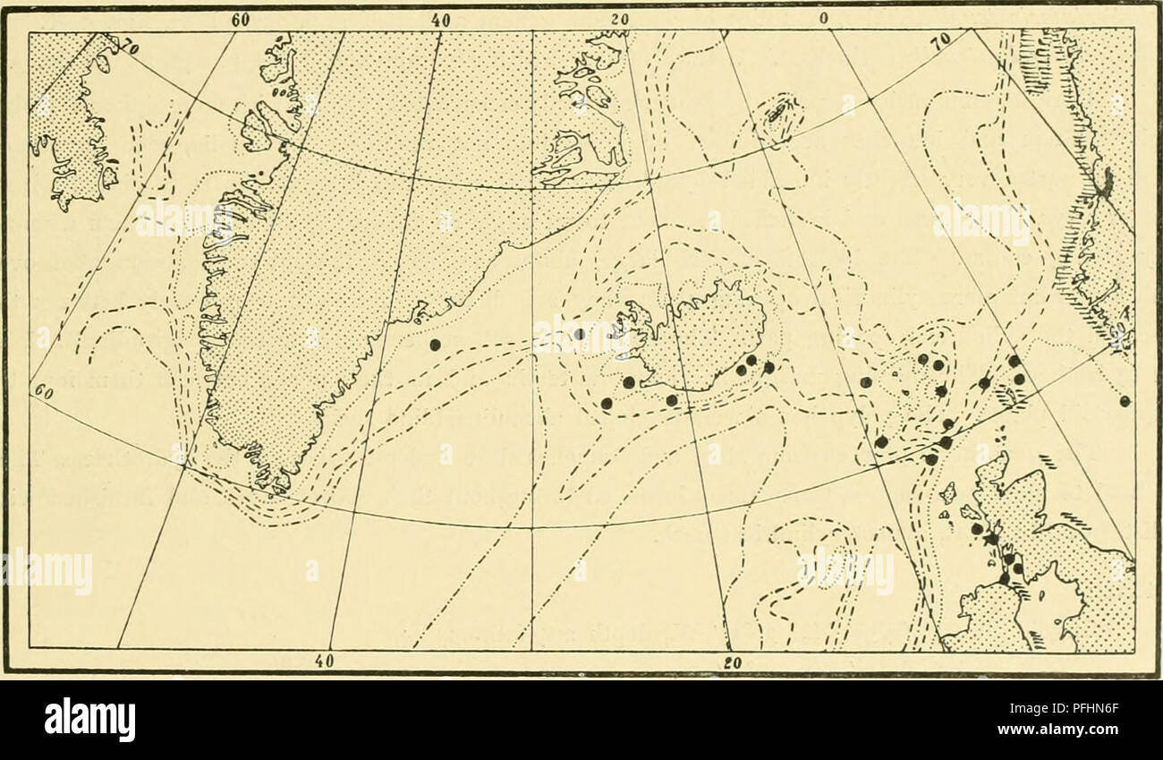 . The Danish Ingolf-expedition. Marine animals; Marine animals ...