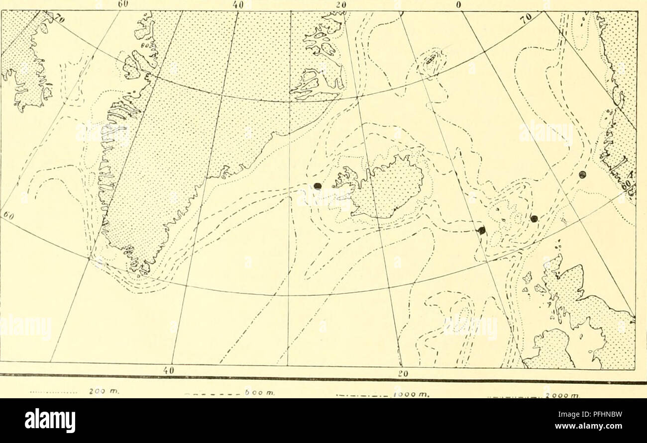 . The Danish Ingolf-expedition. Marine animals; Marine animals ...