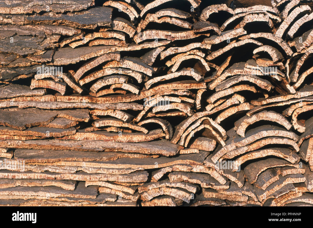 Morocco, Forest of Mamora, pieces of bark stripped from cork-oak, close ...