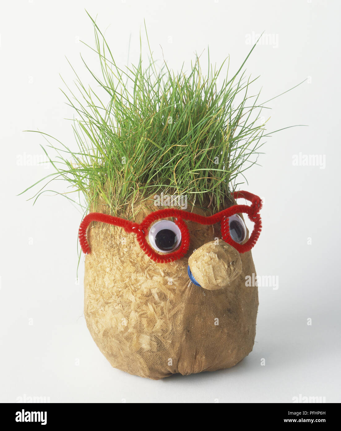 Sawdust-filled stocking made to resemble shape of a head, with grass ...