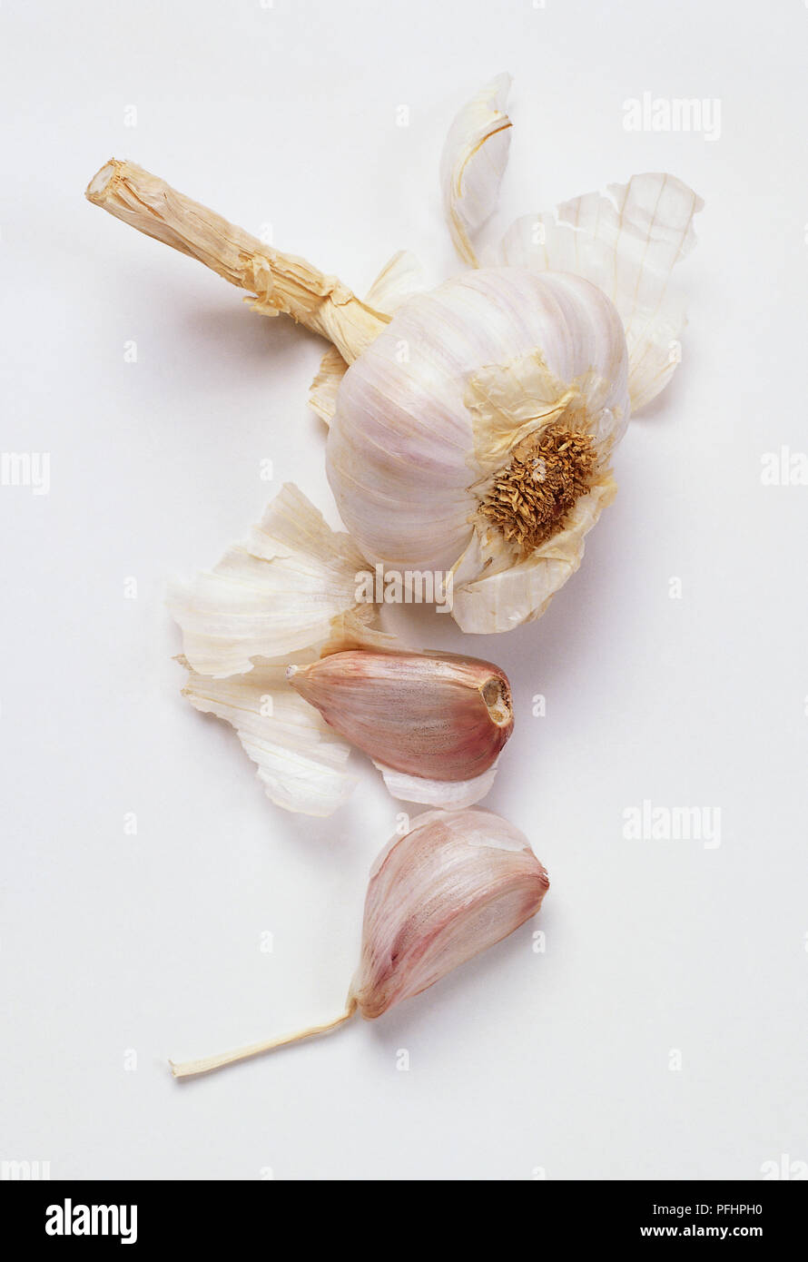 Whole garlic (Allium sativum) and garlic cloves Stock Photo - Alamy