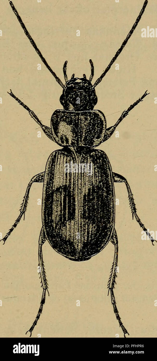 Sumpe hi-res stock photography and images - Alamy