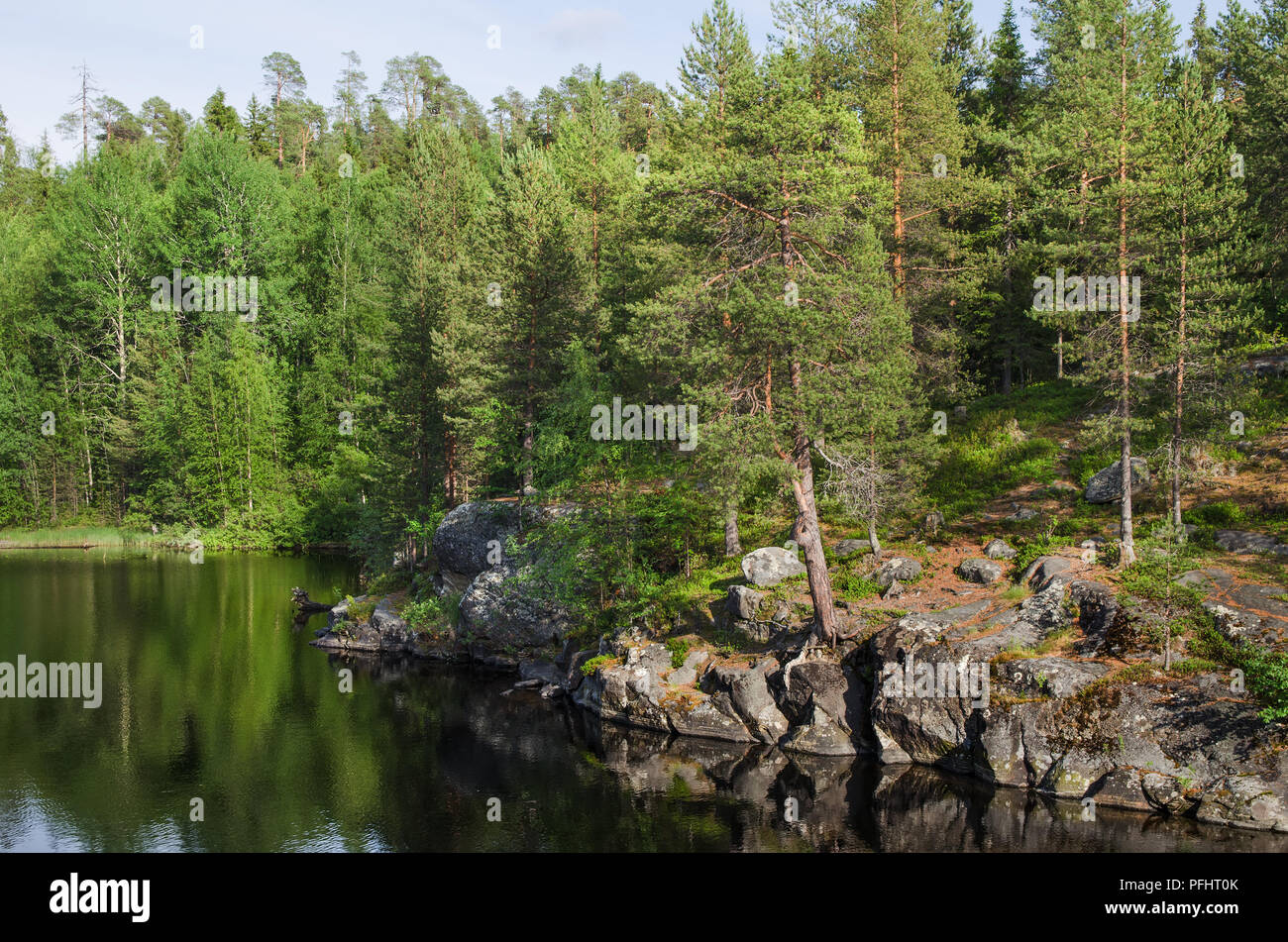 Wooded shore of a large lake. Forests along the coast Stock Photo - Alamy