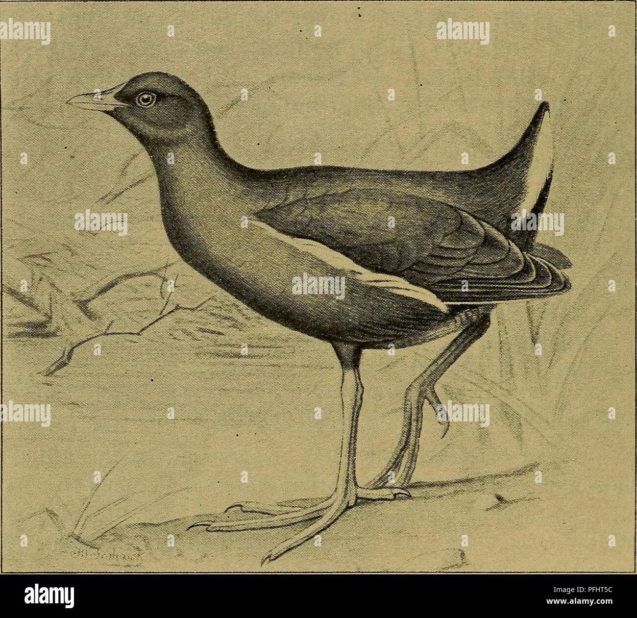 Sving hi-res stock photography and images - Alamy