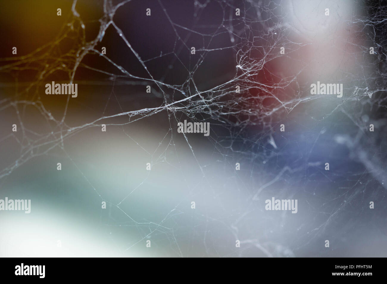 Close up view of the strings of a spiders web Stock Photo - Alamy