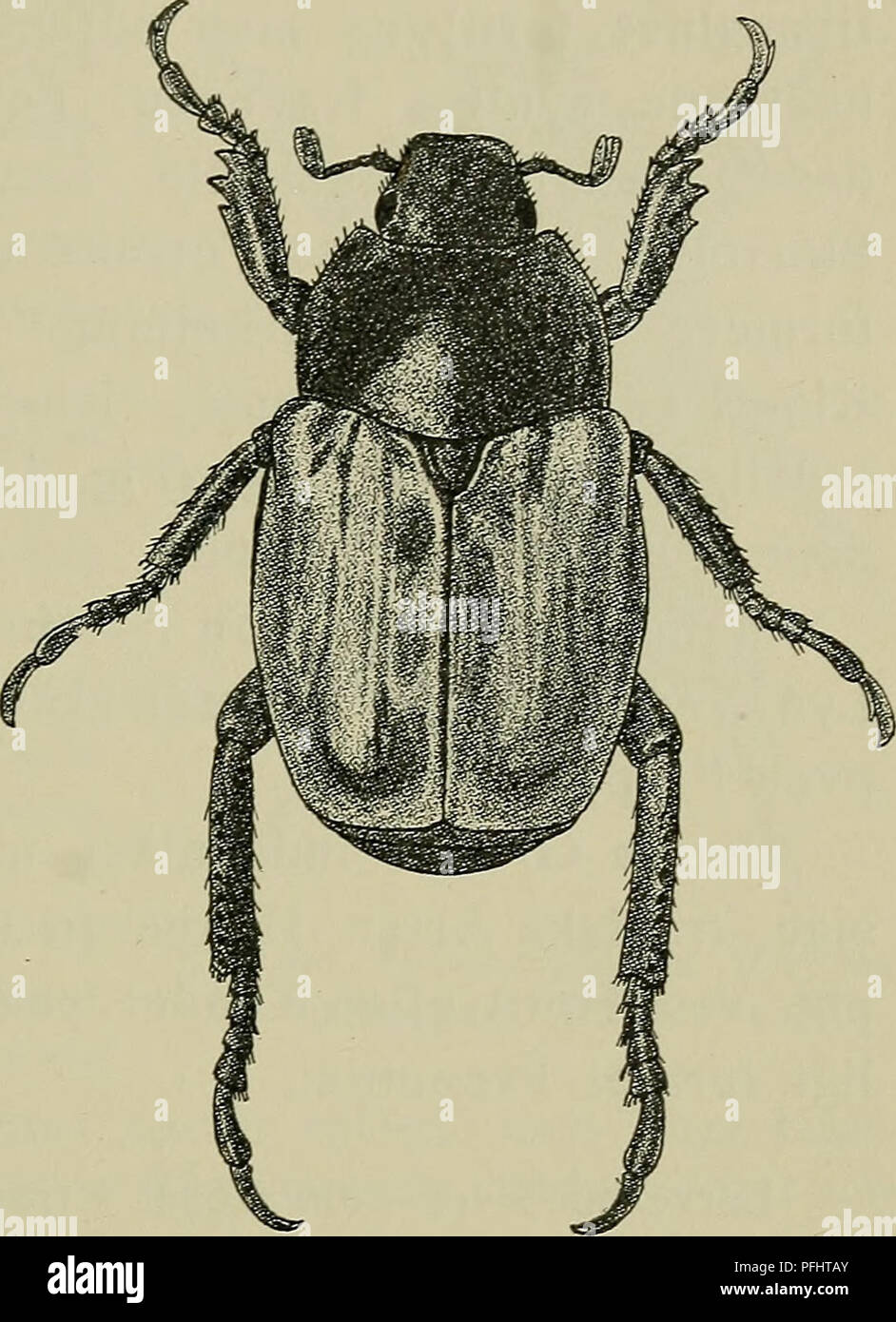 Ven stranden hi-res stock photography and images - Alamy