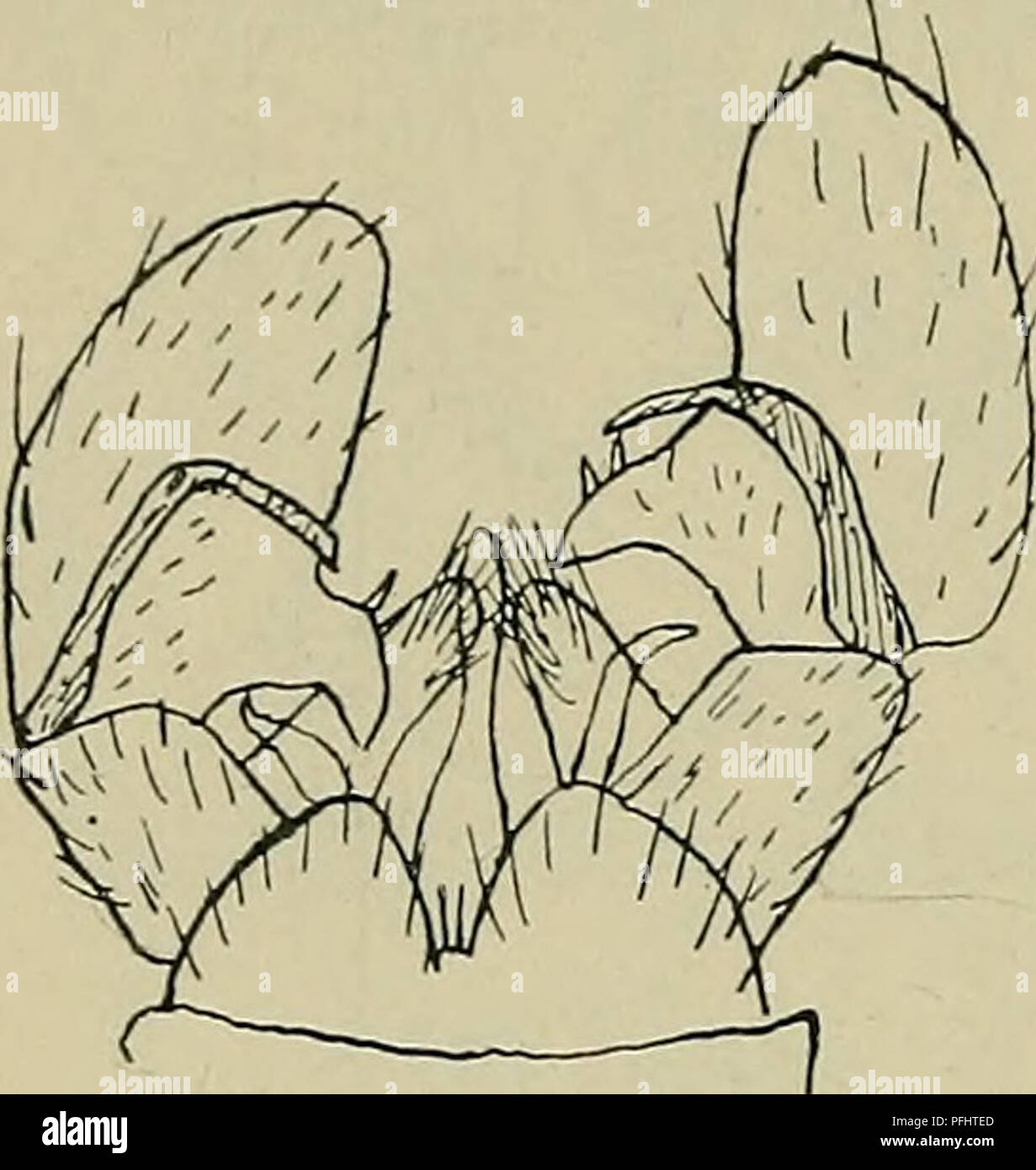 This book is a comprehensive guide to the fauna of Denmark, illustrated ...