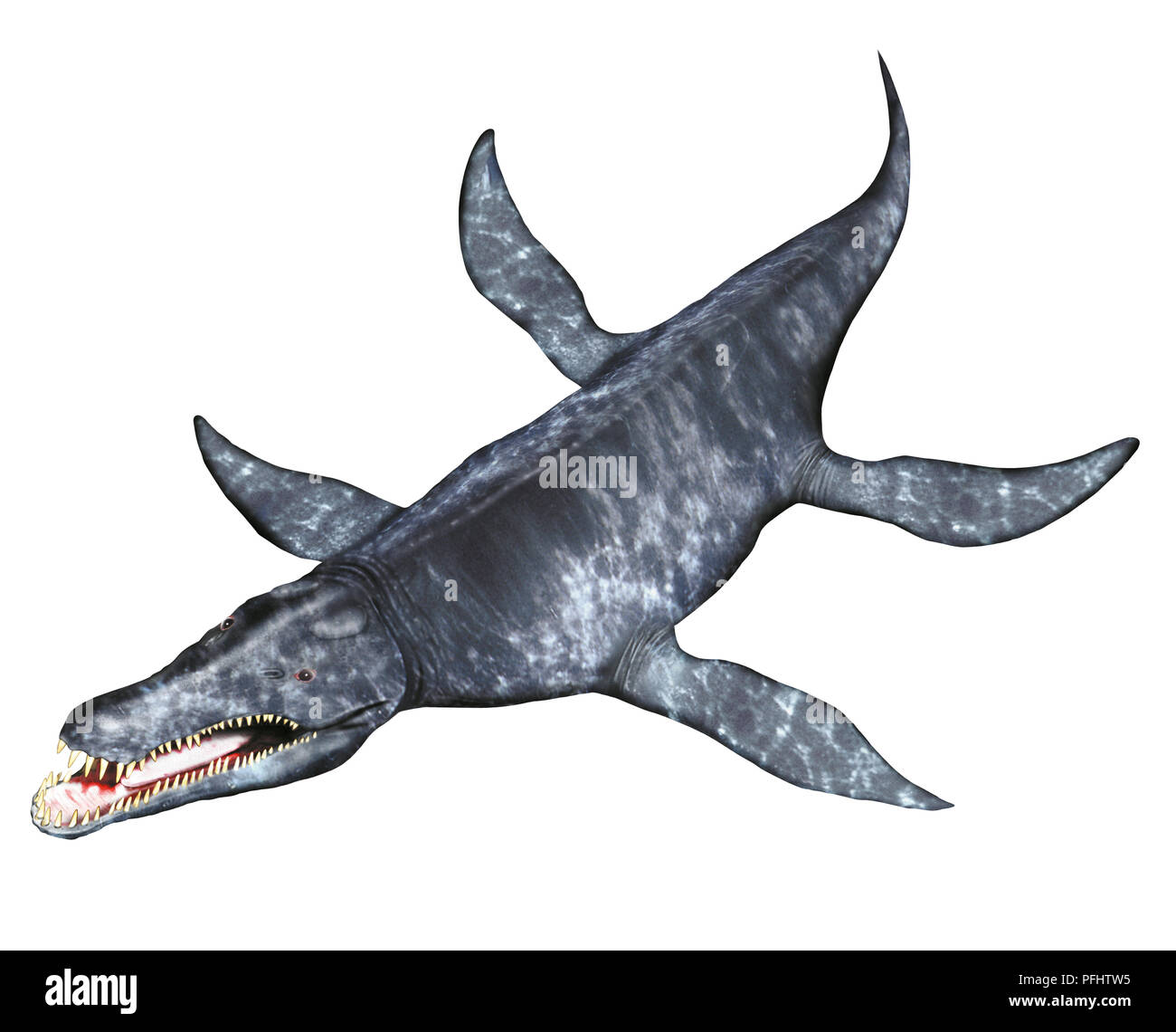 Kronosaurus High Resolution Stock Photography and Images - Alamy