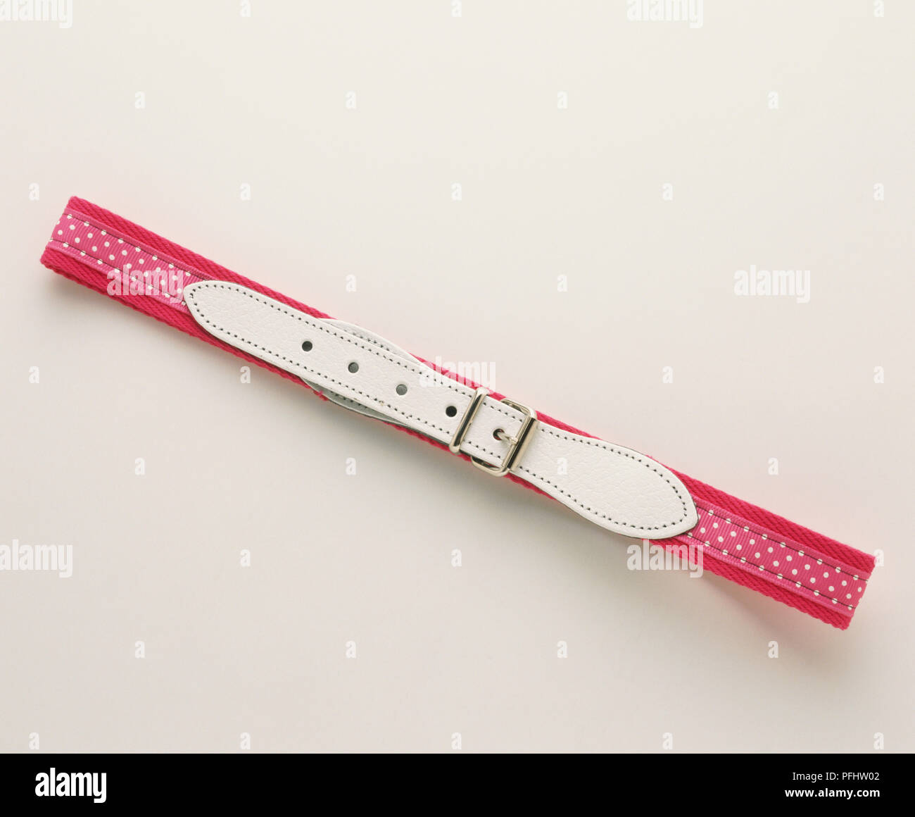 Fastened pink belt with white leather buckle, close up Stock Photo - Alamy