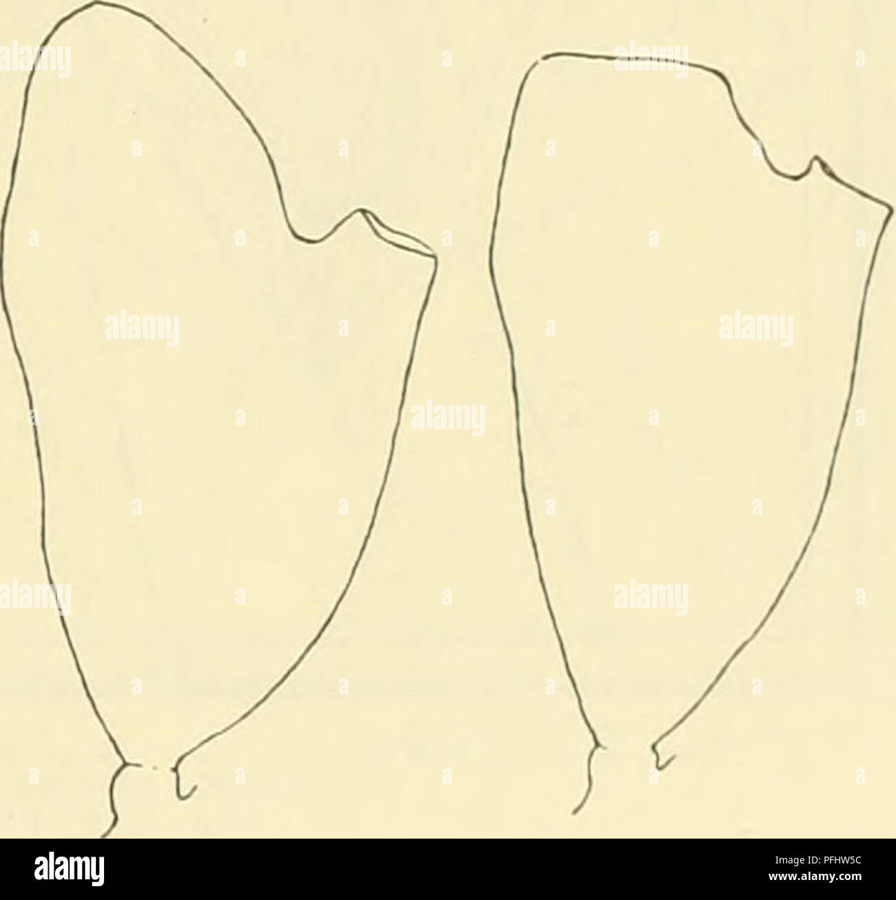 100 fathoms hi-res stock photography and images - Alamy