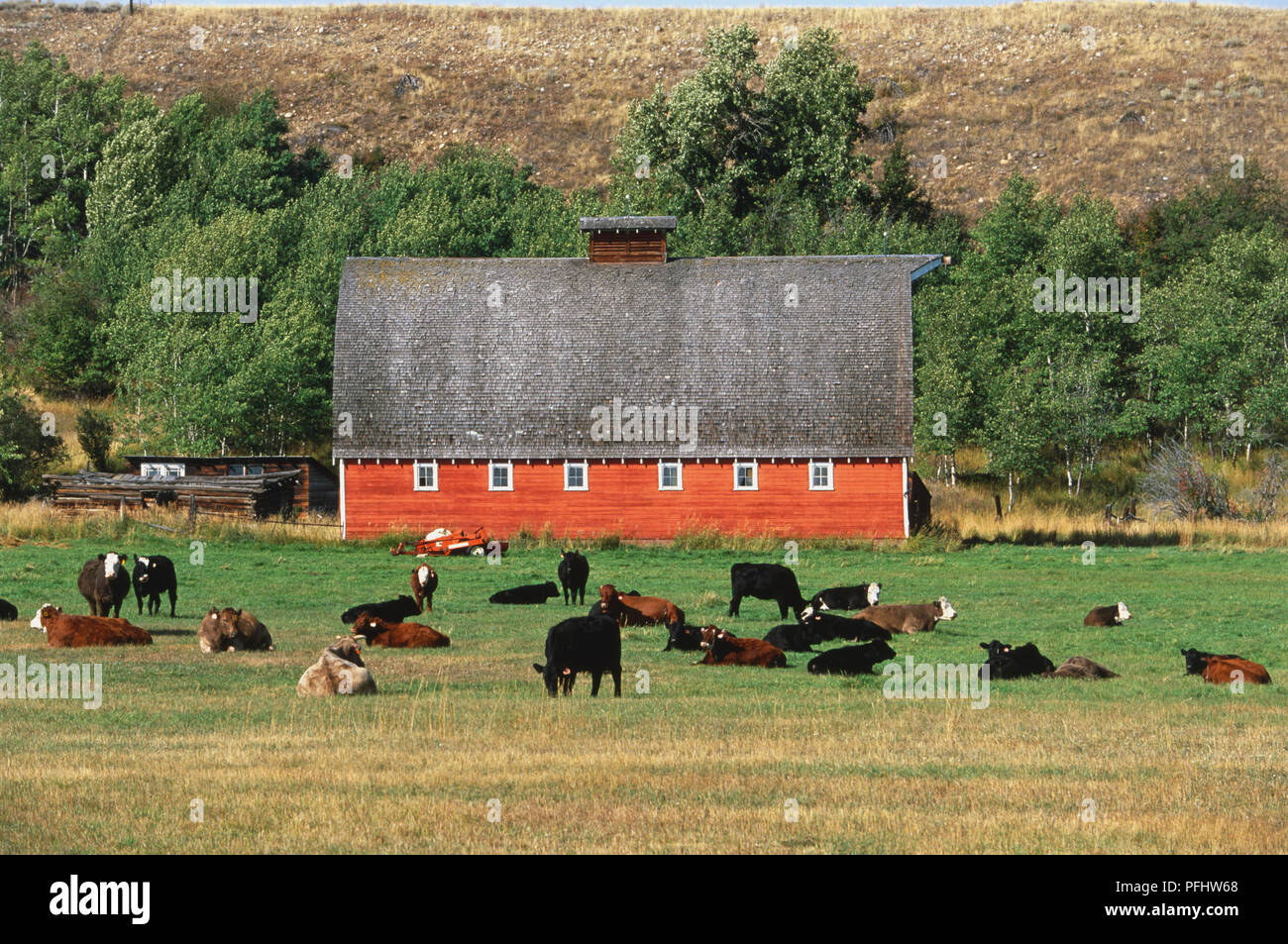 USA, Montana, Little Bighorn, Custer National Forest, US Route 212 ...