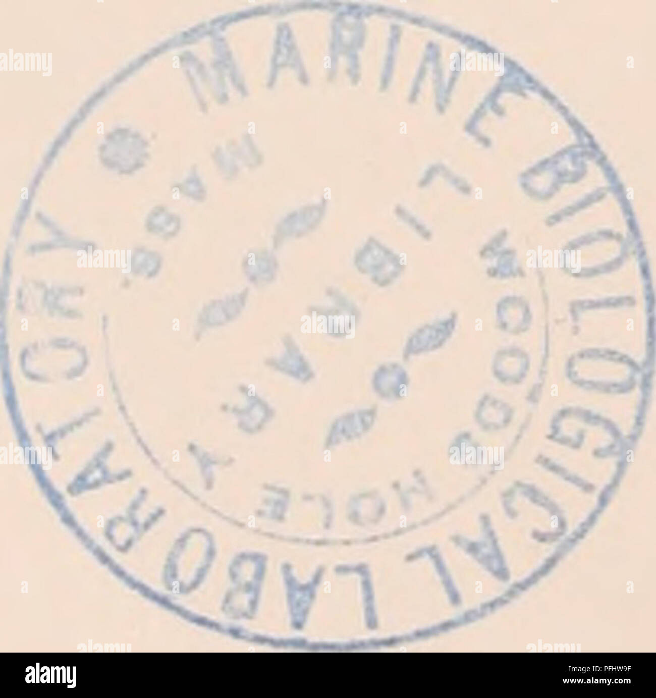 . The Danish Ingolf-Expedition. Scientific expeditions; Arctic Ocean ...