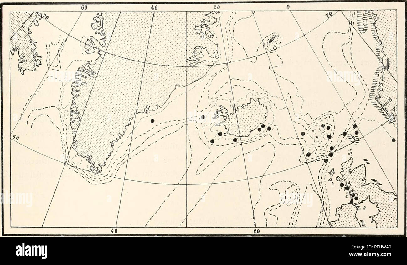 This illustration from the Danish Ingolf Expedition shows a detailed ...