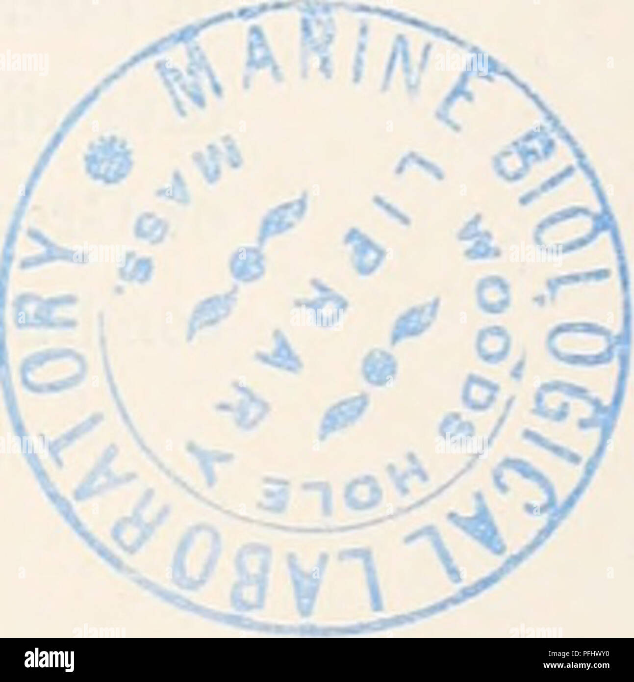 100 fathoms hi-res stock photography and images - Alamy