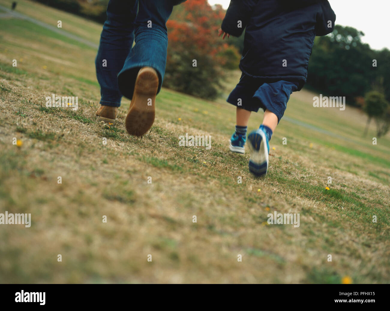 Walking on two legs hi-res stock photography and images - Alamy
