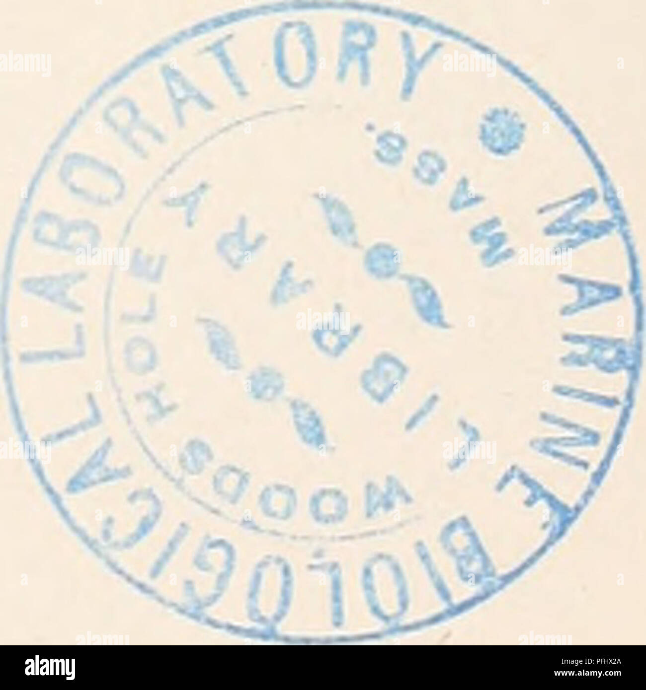 Male gonads hi-res stock photography and images - Alamy