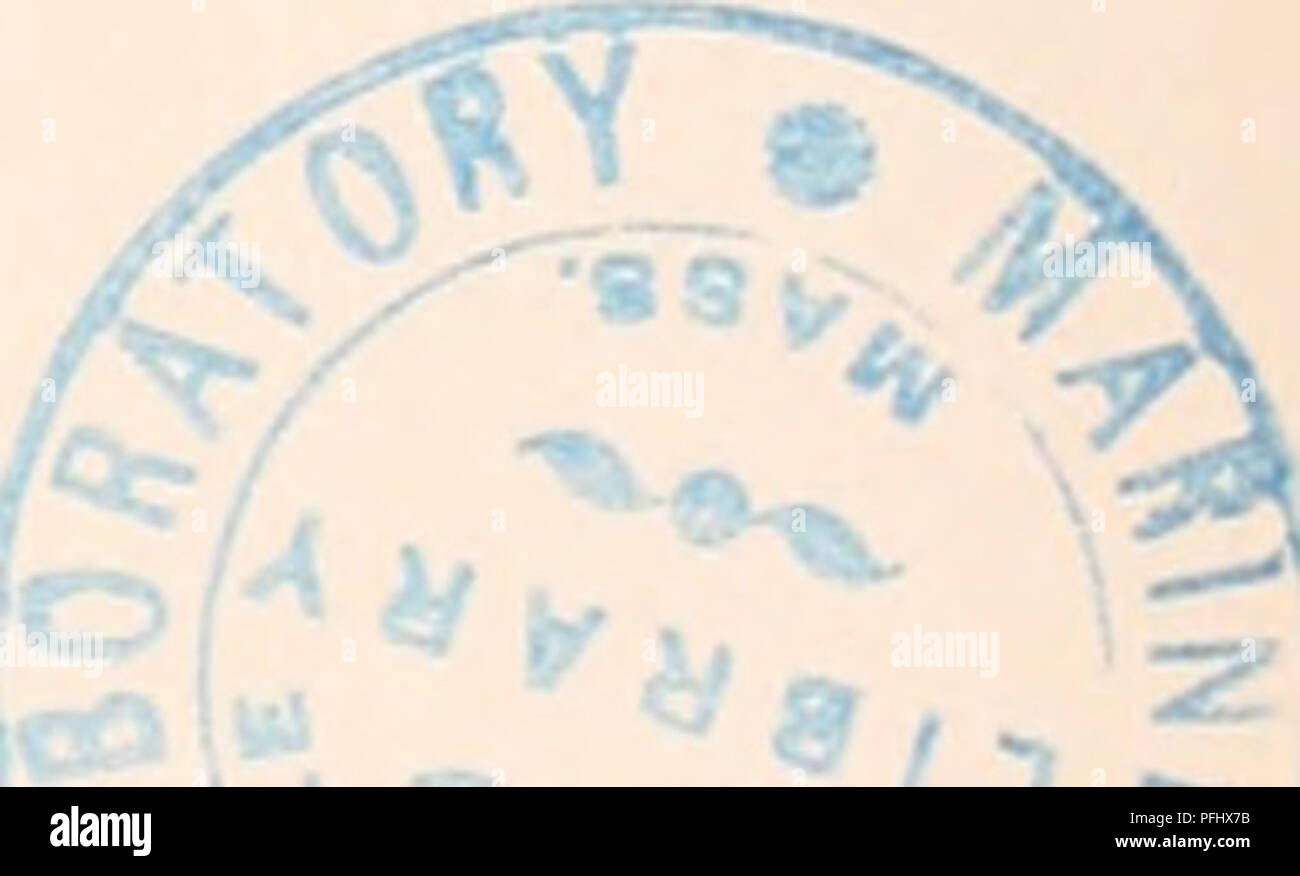 . The Danish Ingolf-Expedition. Scientific expeditions; Arctic Ocean ...