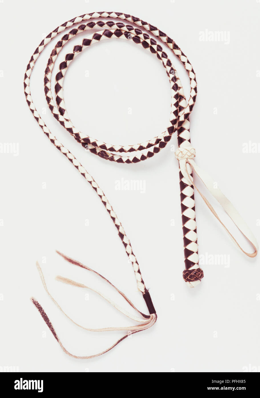 Whips colour hi-res stock photography and images - Alamy