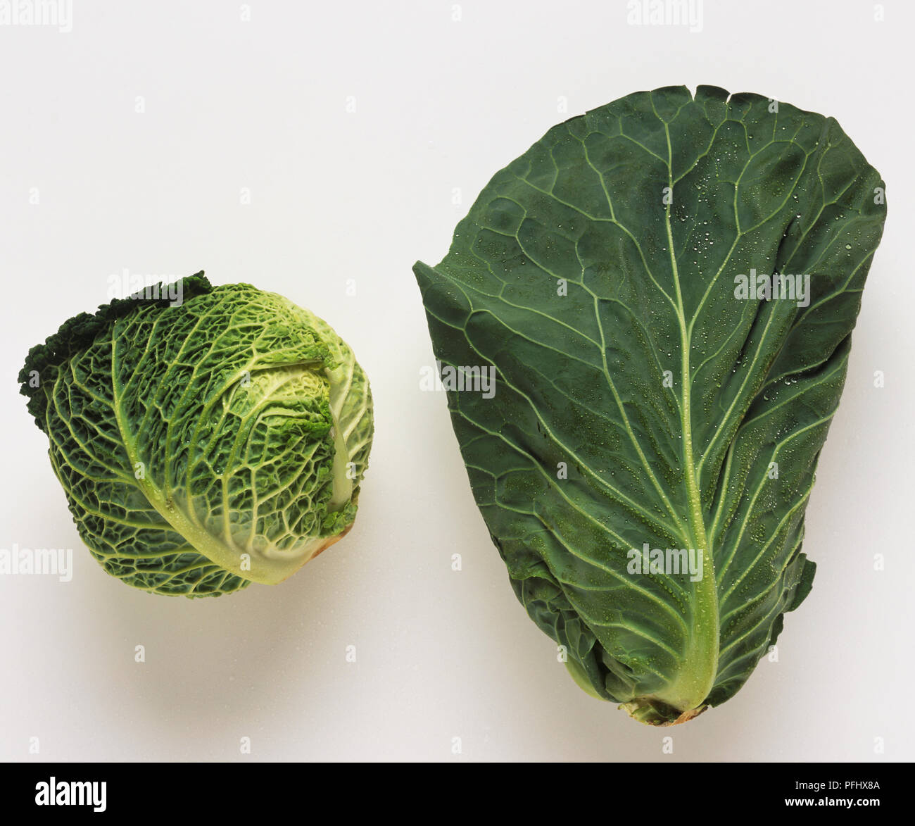 Two heads of green cabbage, front view Stock Photo - Alamy