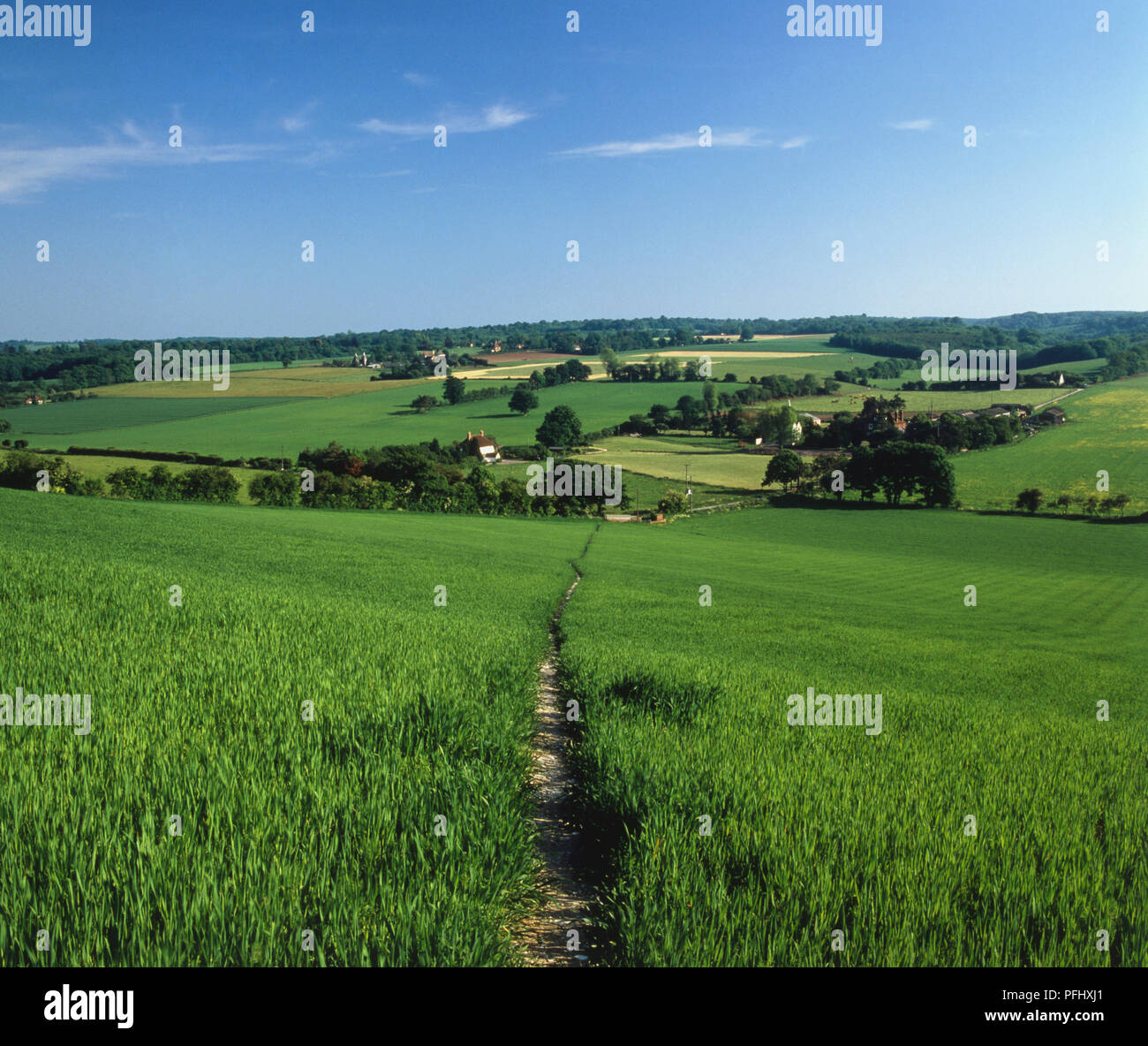 Panoramic view lush countryside hi-res stock photography and images - Alamy