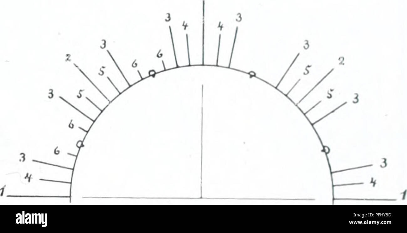 Male gonads hi-res stock photography and images - Alamy