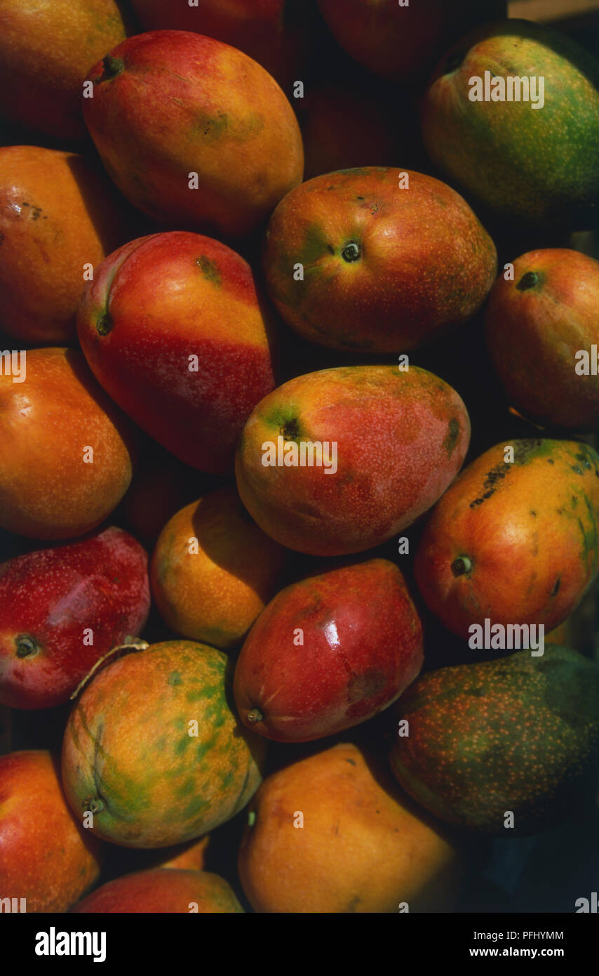 Central America, Costa Rica, Southern Zone, mangos Stock Photo - Alamy