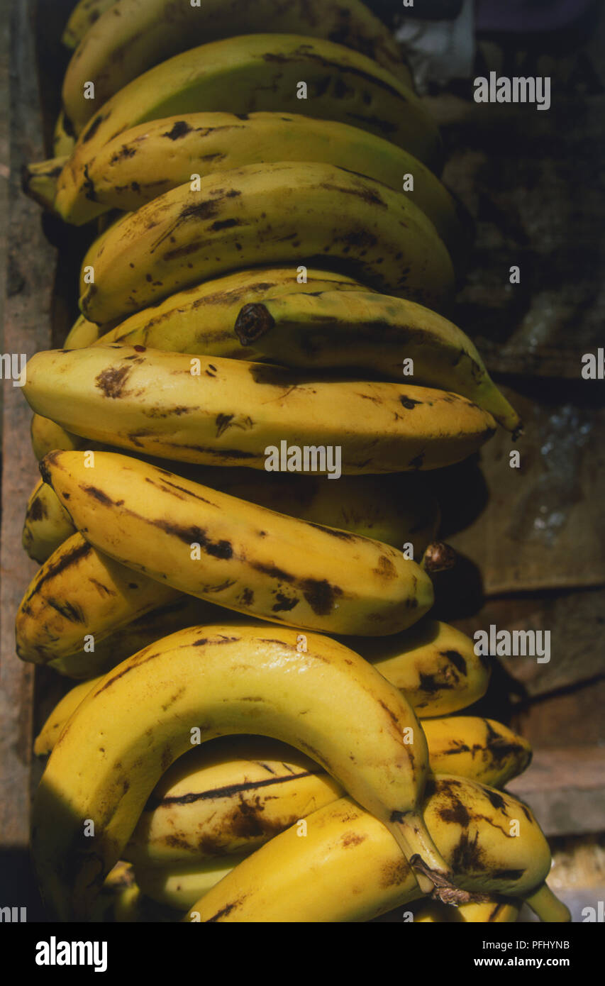 Central America, Costa Rica, Southern Zone, plantains Stock Photo - Alamy