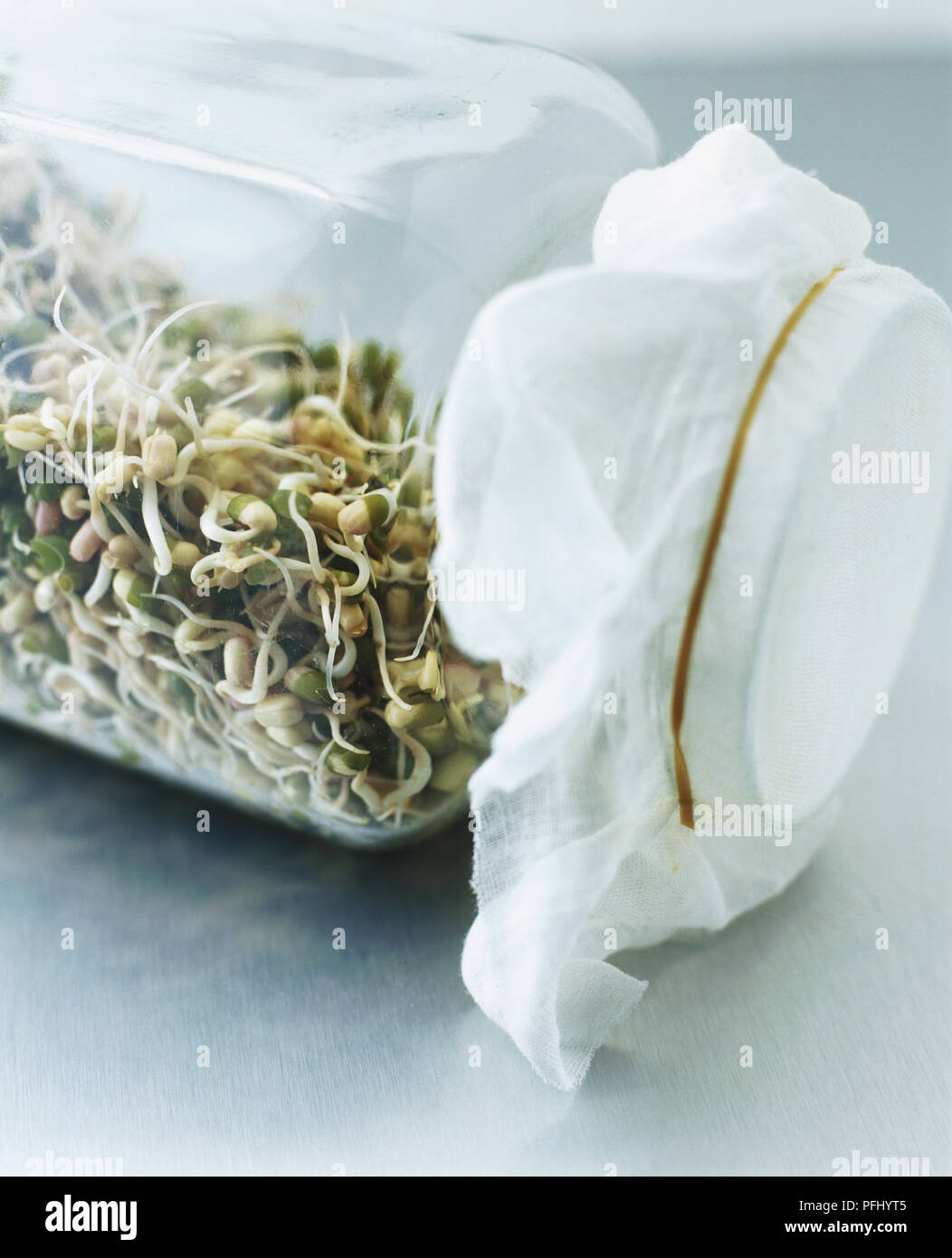 Muslin covered hi-res stock photography and images - Alamy