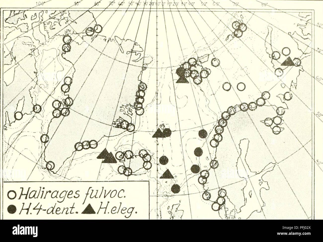 . The Danish Ingolf-expedition. Marine animals -- Arctic regions ...