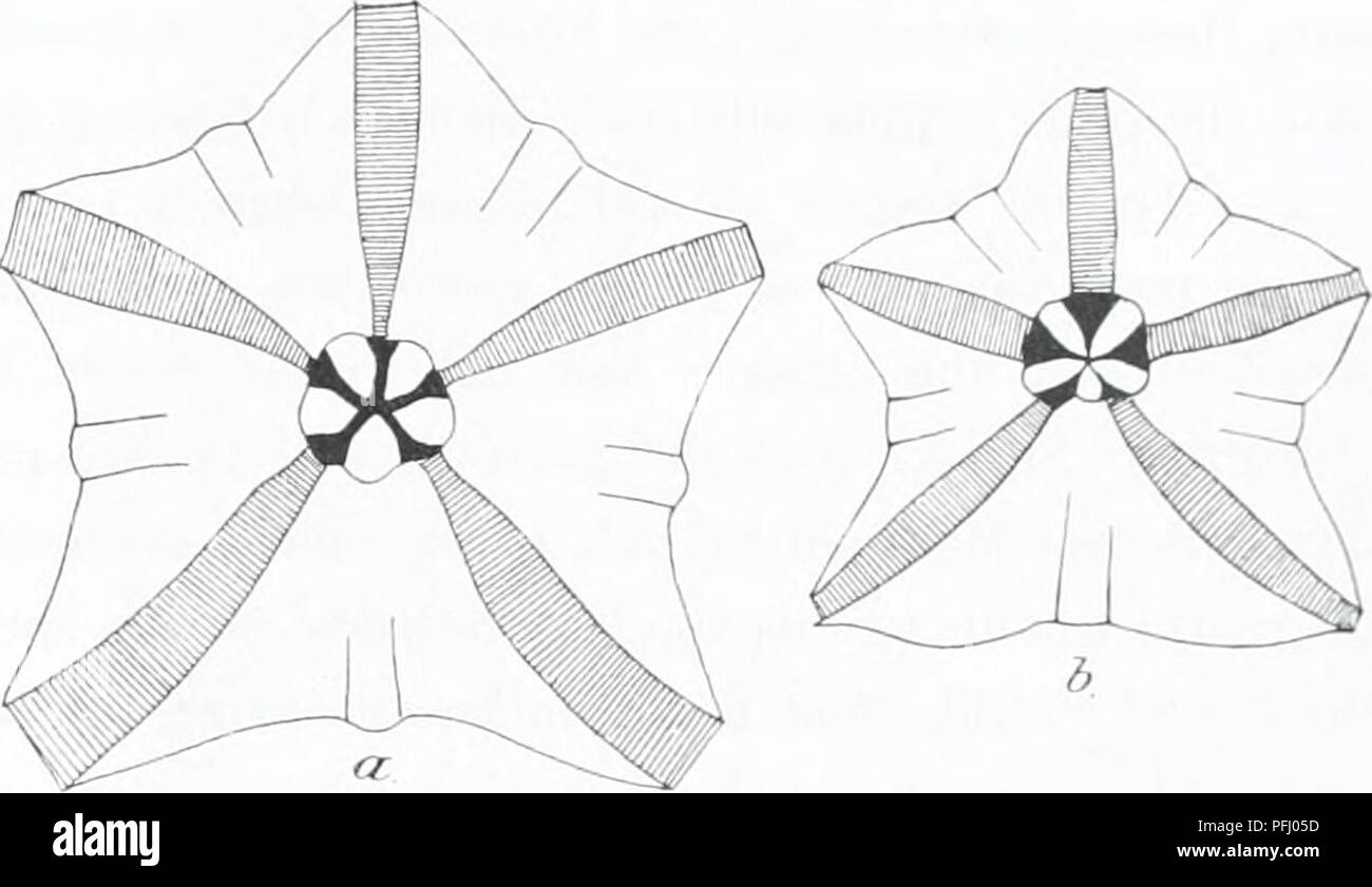 This image depicts marine life and scientific expeditions from the ...