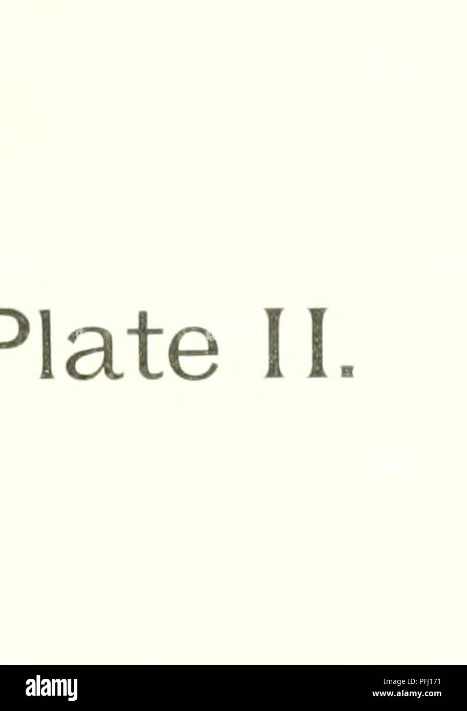 Setae detail hi-res stock photography and images - Alamy