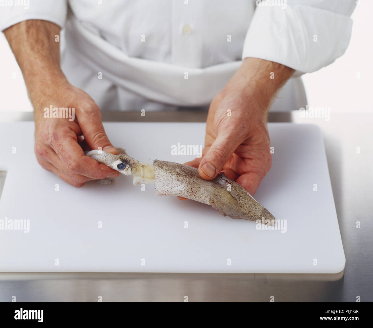 Cleaning squid, pulling mantle and tentacles apart Stock Photo - Alamy