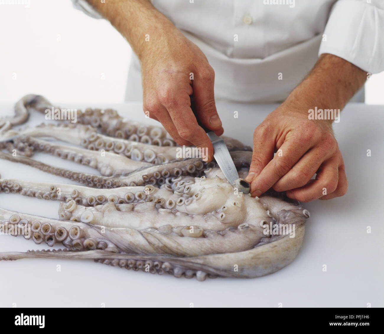 Octopus beak hi-res stock photography and images - Alamy