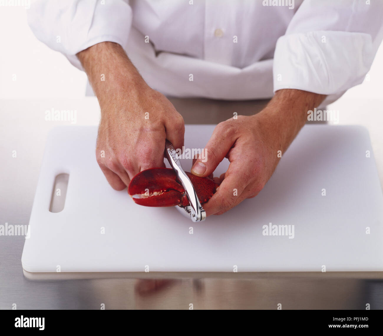 Using lobster crackers to crack open claw shells of a cooked lobster ...