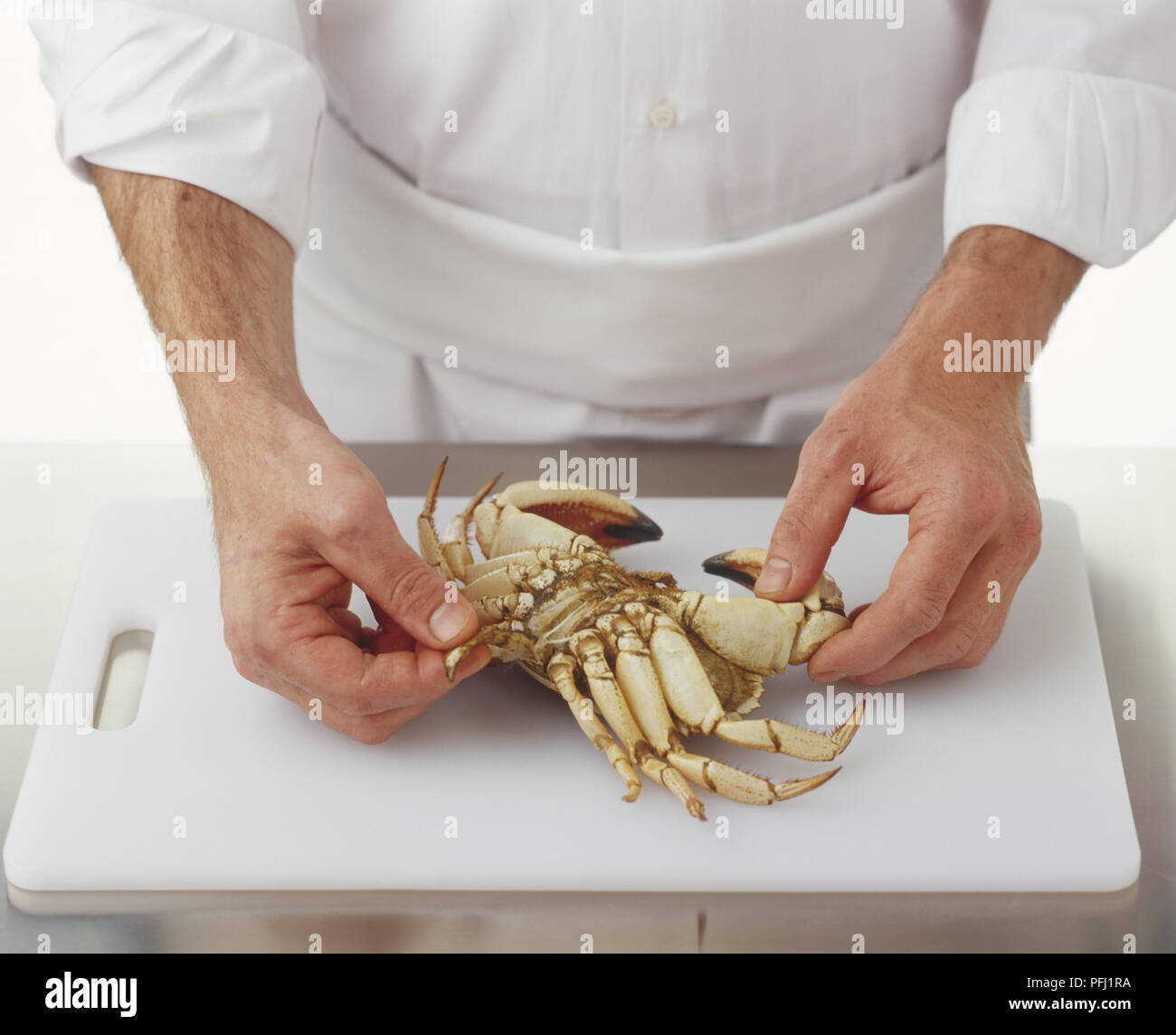 Cleaning a live blue crab, pulling and twisting off folded tail flap ...