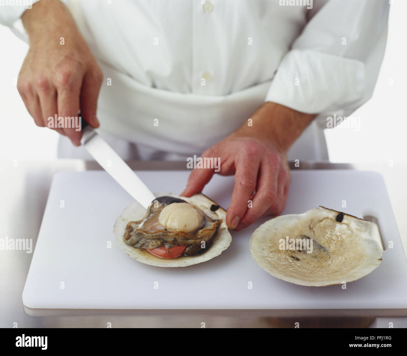 Using a knife to detach a scallop from its bottom shell Stock Photo - Alamy