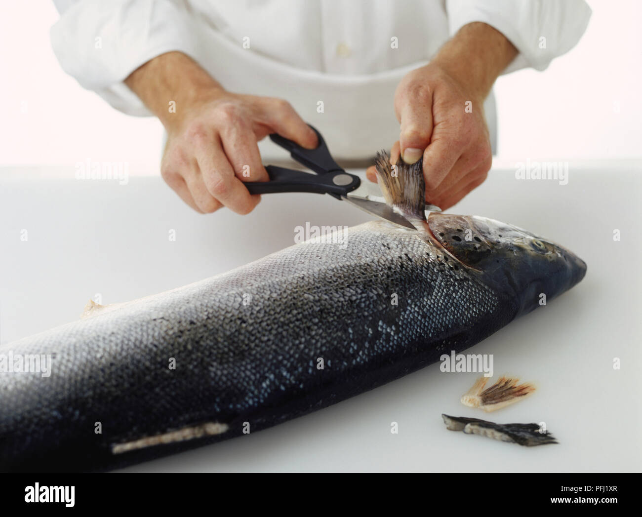 Using scissors to trim off the fins on the side of a salmon's head ...