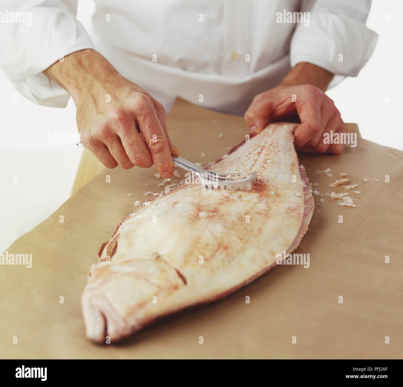 Scales being scraped off flat fish with a metal fish scaler, high angle ...