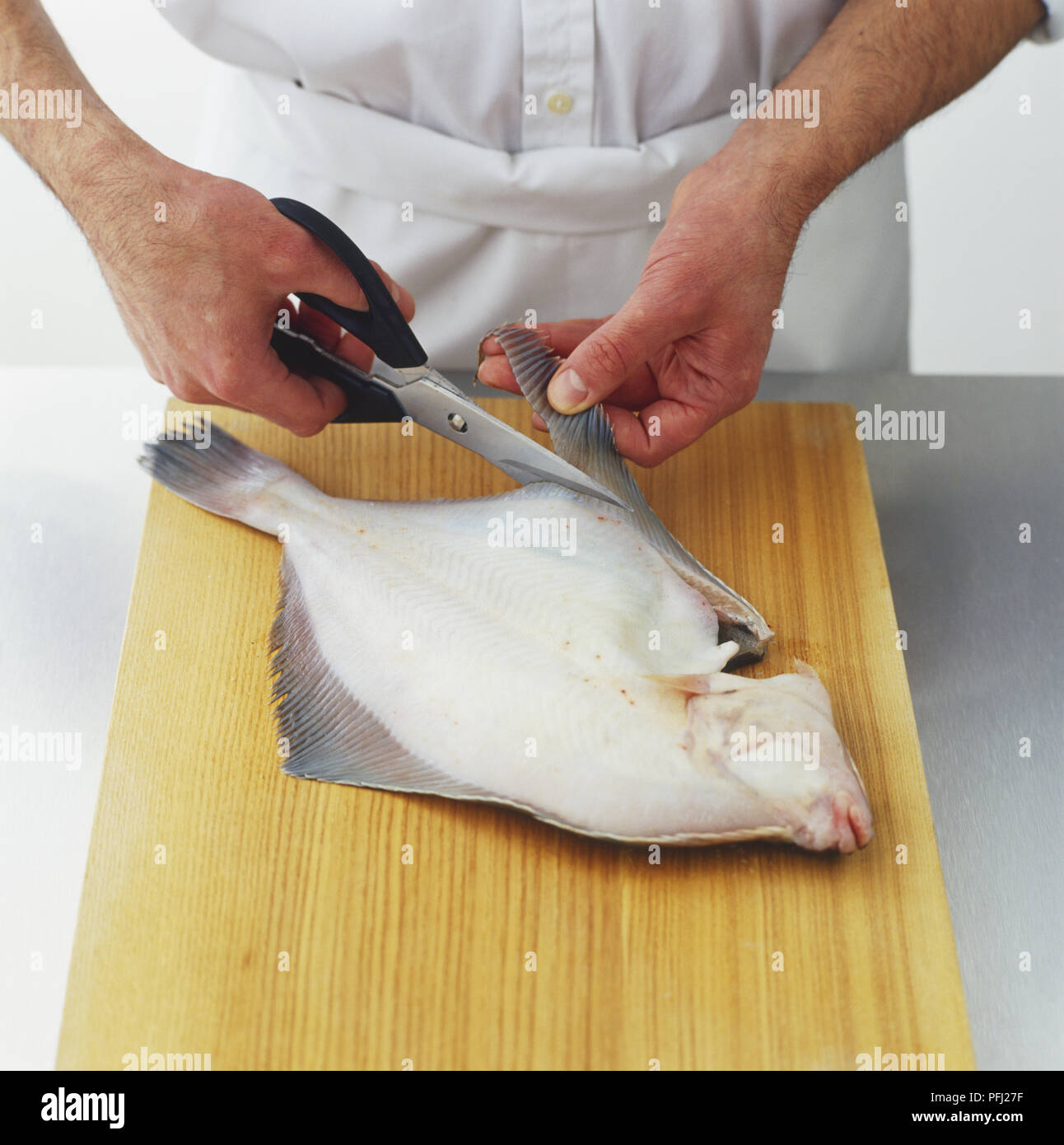 Flat fins hi-res stock photography and images - Alamy