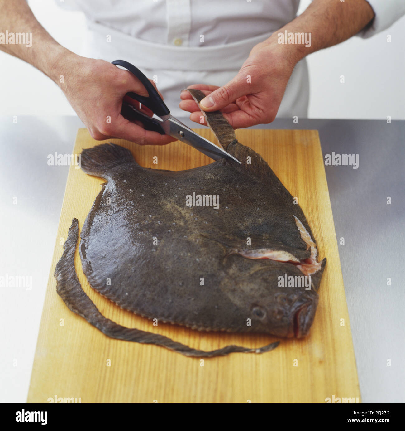 Scissors being used to trim the fins of flat fish, high angle view ...