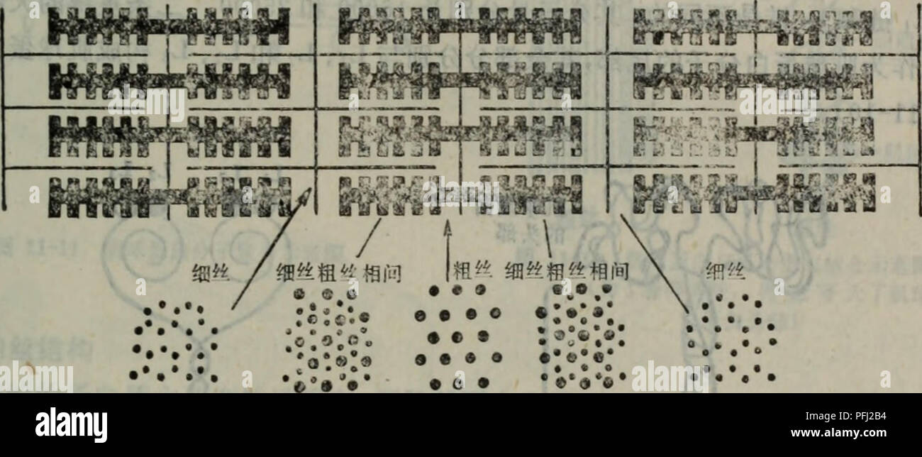 This Chinese Text Provides A Basic Overview Of Botany Focusing On Fundamental Concepts Of Plant