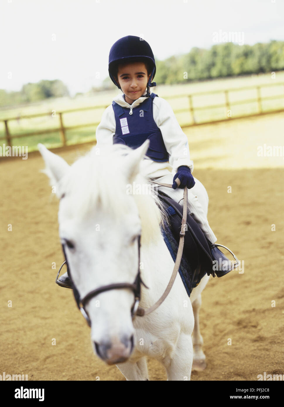 Boy in riding gear sitting on white Horse (Equus caballus), front view ...