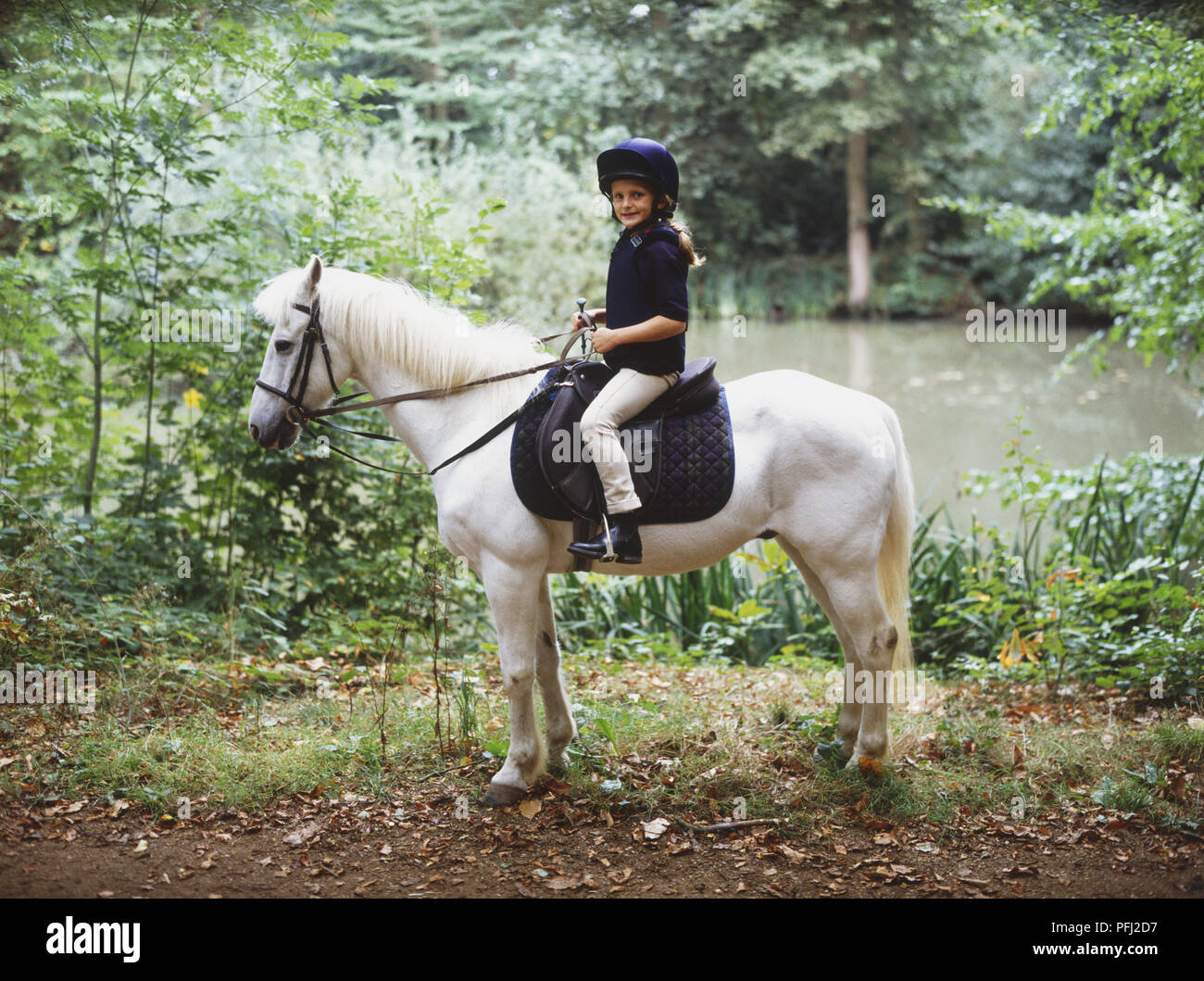 Girl in riding gear sitting on white Horse (Equus caballus) by country ...
