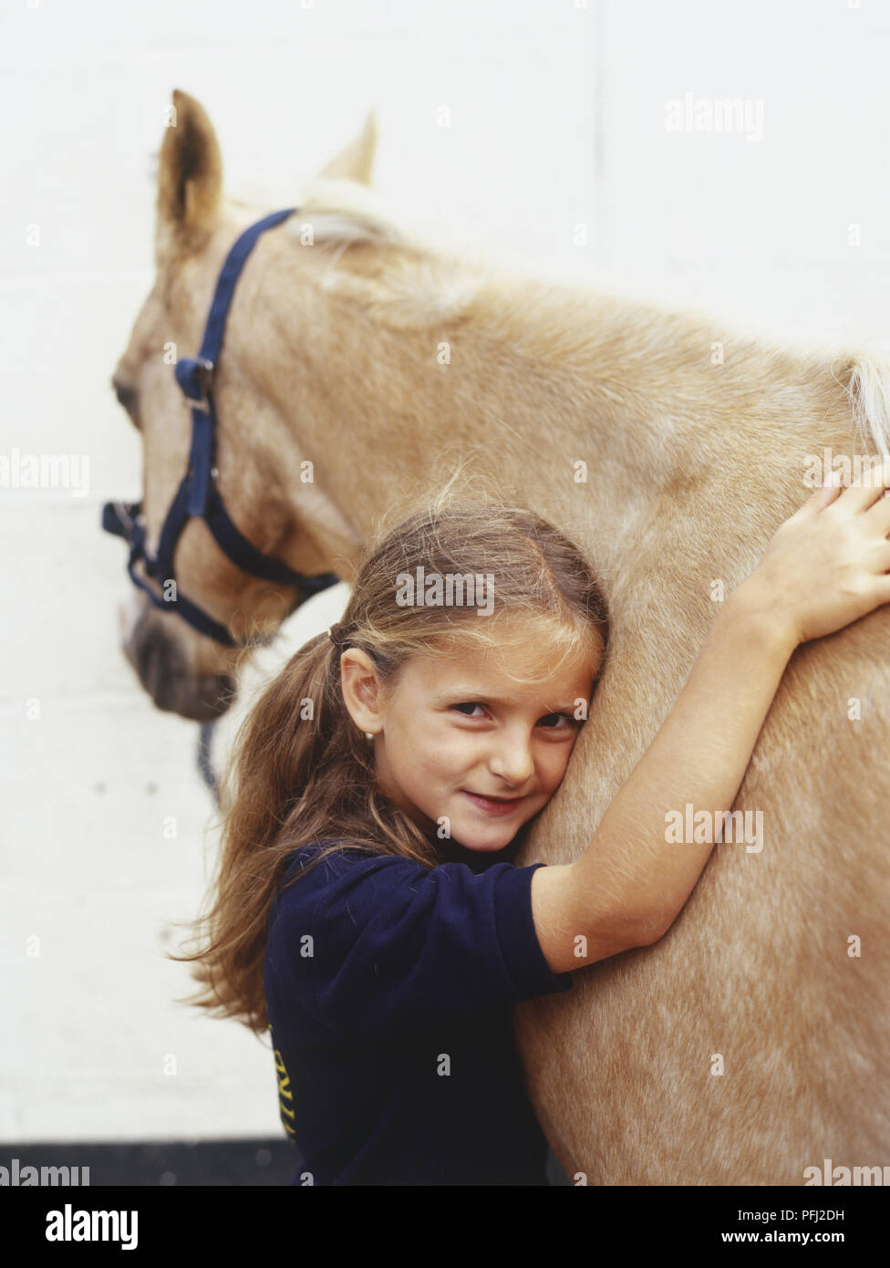 Smiling girl hugging blonde Horse (Equus caballus), side view Stock ...