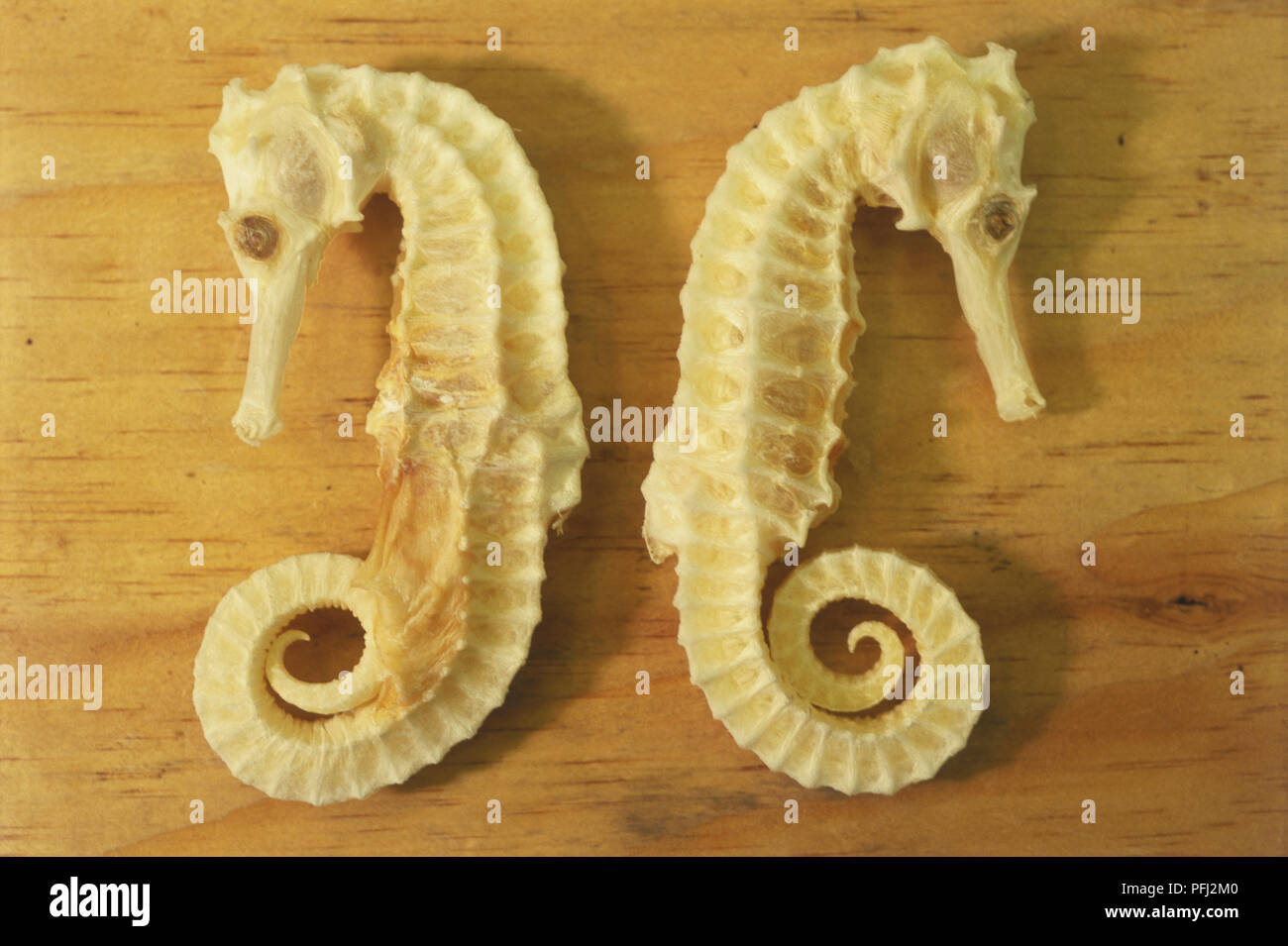 Dried seahorse hong kong hi-res stock photography and images - Alamy